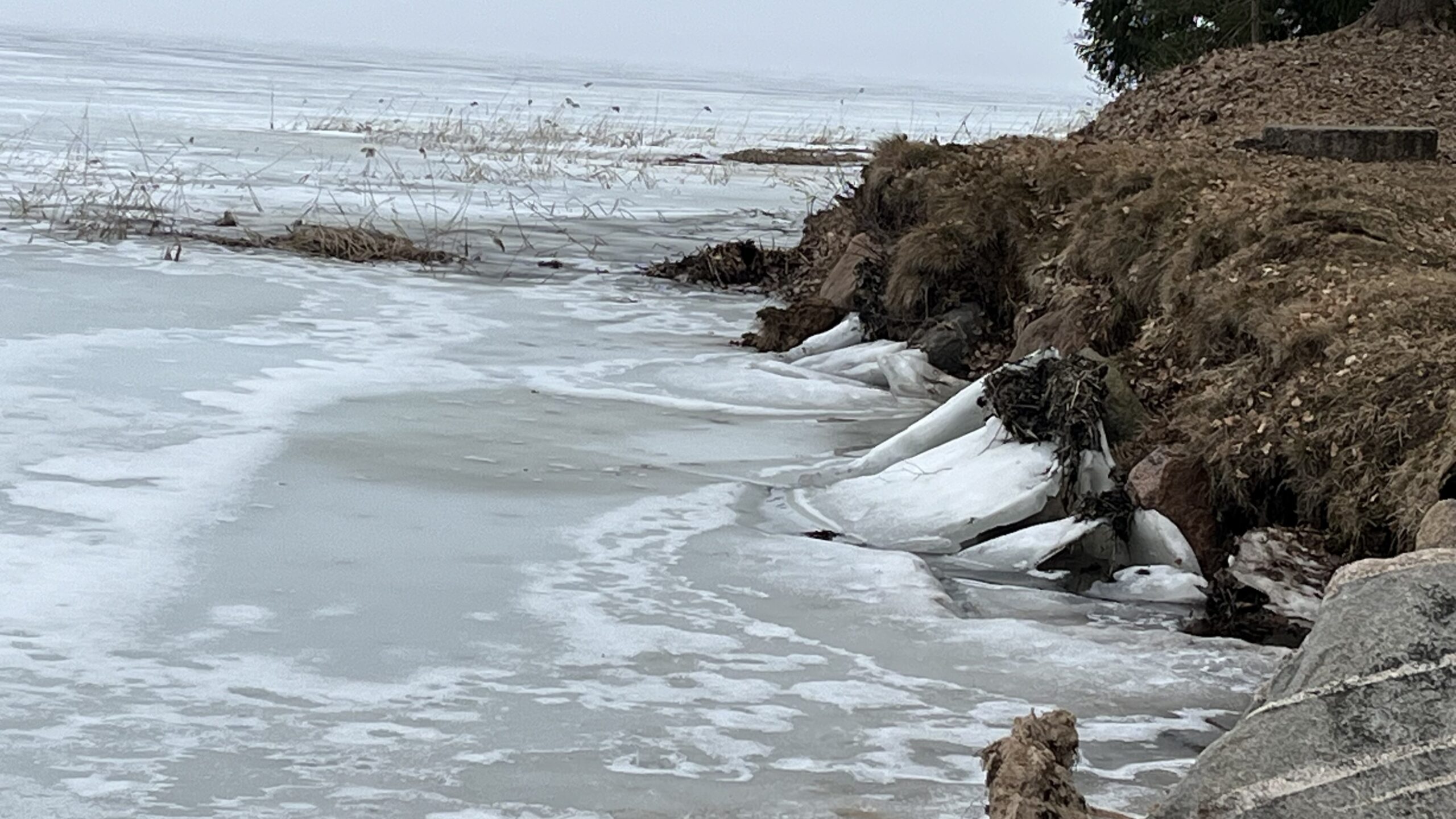 Alūksnes ezera ledus izgājis krastos - Aluksniesiem.lv